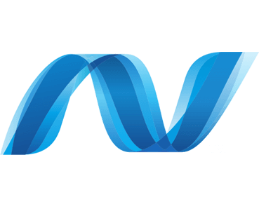 Stackroots - Best Web Application Development Company